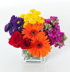 Flower Delivery Albuquerque New Mexico Florist - Peoples Flowers